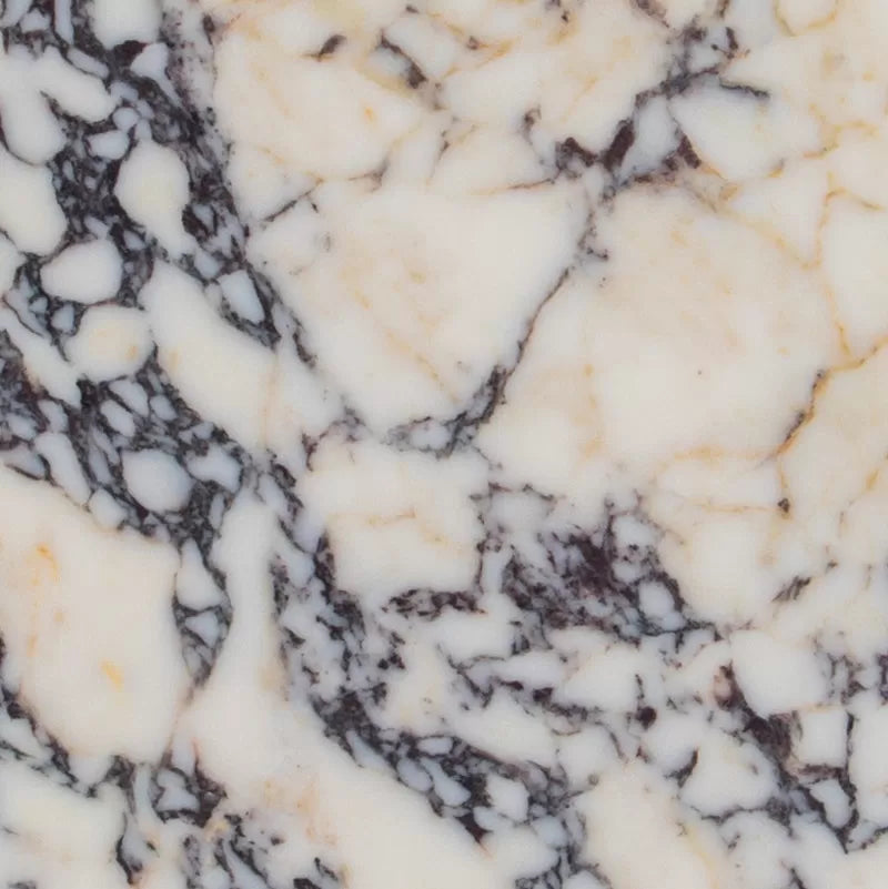 Calacatta Viola Marble 18x18 Honed Tile | TILE & MOSAIC DEPOT